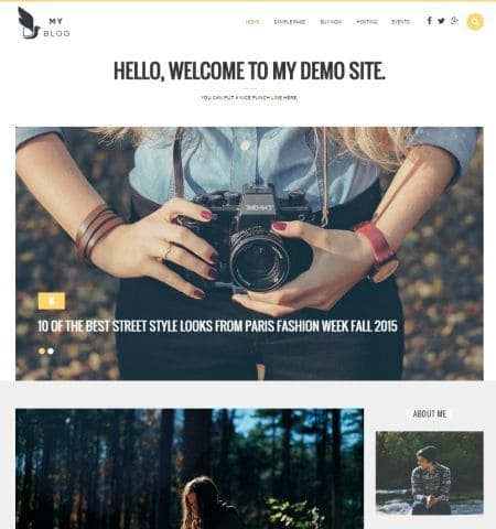 Top 10 WordPress Themes for Blogging