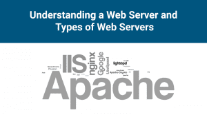 What is a Web Server? What are the Types of Web Servers?