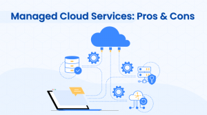 Managed Cloud Services: Pros and Cons | MilesWeb