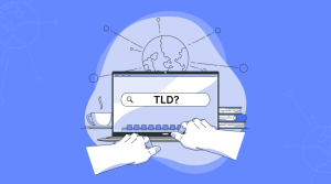 What Is a TLD? A Clear Guide to Its Meaning, Types & Examples