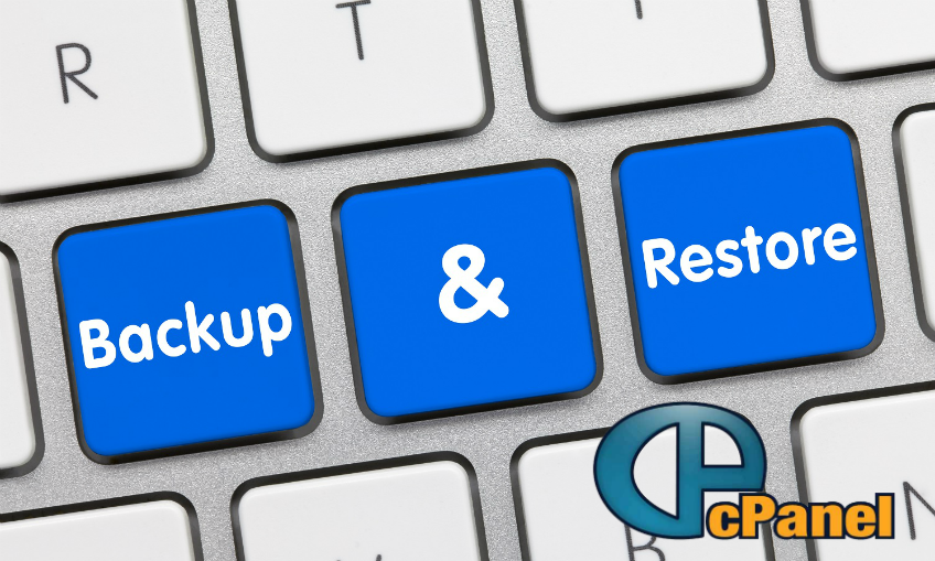 A Step by Step Process to Restore Home Directory Backup in cPanel