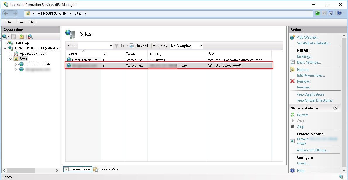 Configuring a Domain Name with IIS on Windows Server - No.1 popular guide