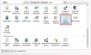 Installing an SSL Certificate (.pfx File) on IIS on a Windows Server Machine